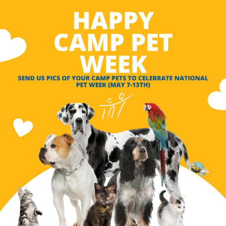 Policies and Practices for Allowing Pets at Camp | American Camp ...