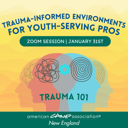 Trauma Informed Environments for Youth Serving Professionals (Trauma ...